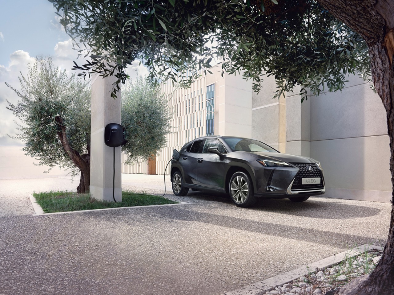 Discover Motability Car Scheme | Lexus UK
