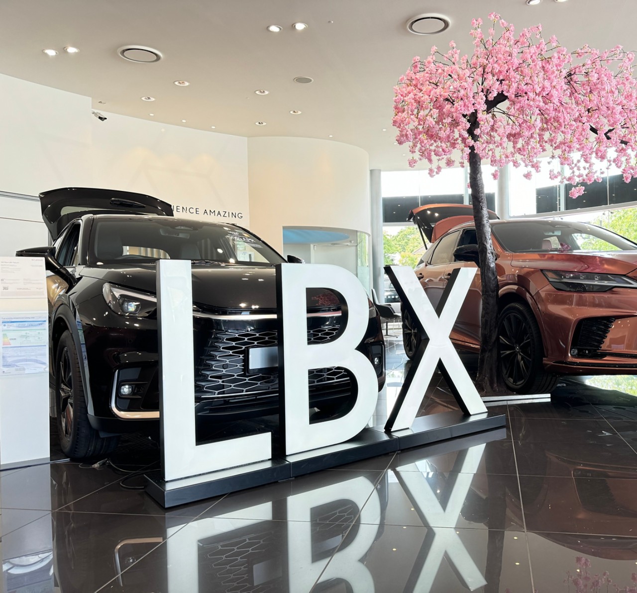 Contact Lexus Woodford | Lexus UK