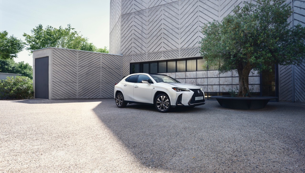 Discover Motability Car Scheme | Lexus UK