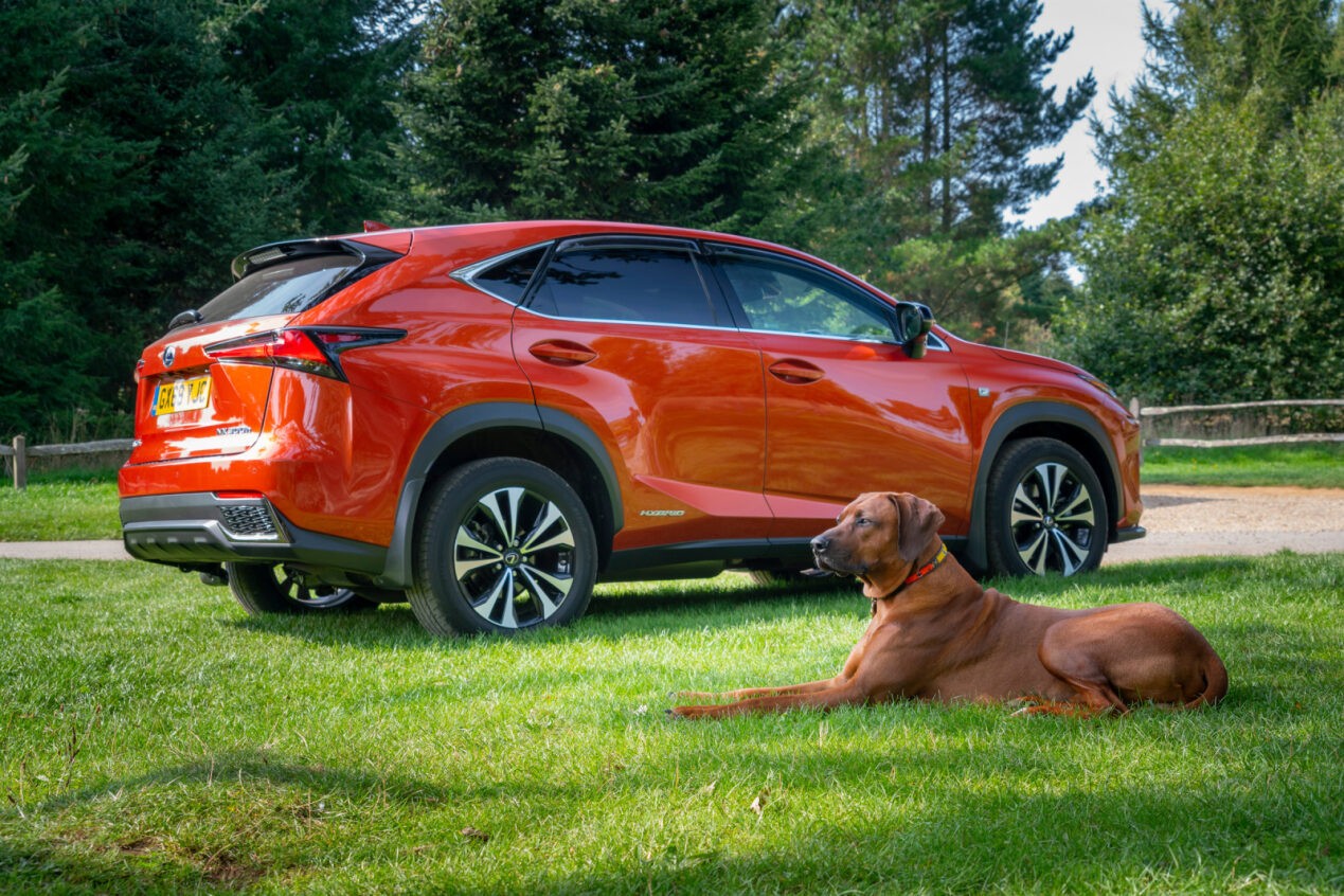 Explore Genuine Lexus Accessories Online | Lexus UK